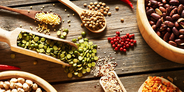14 High Lectin Food Sources | BistroMD