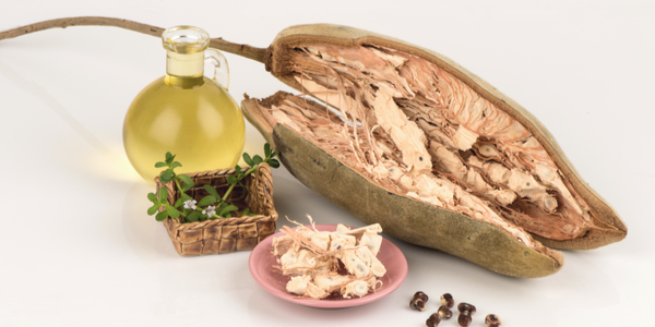 How to Use Baobab to Improve Health | BistroMD